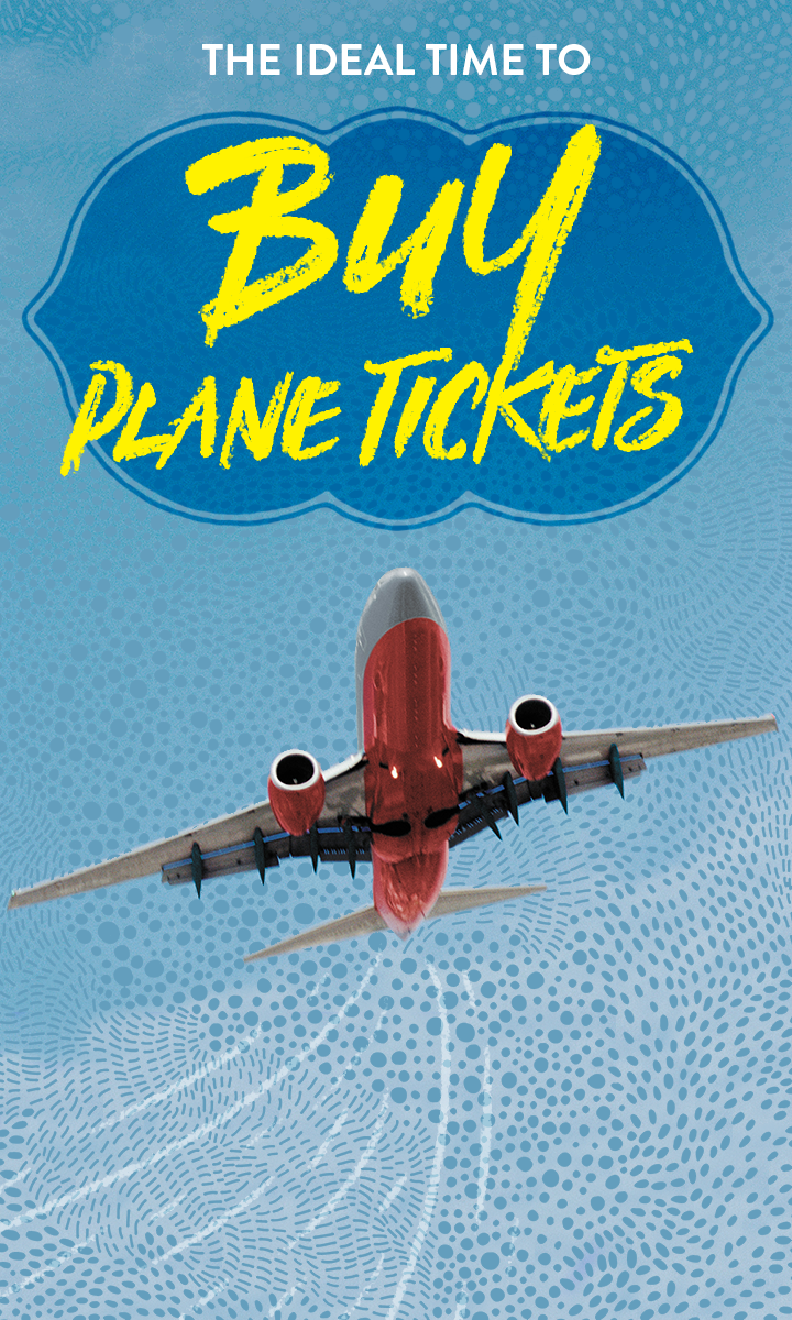 Anatomy of a Plane Ticket